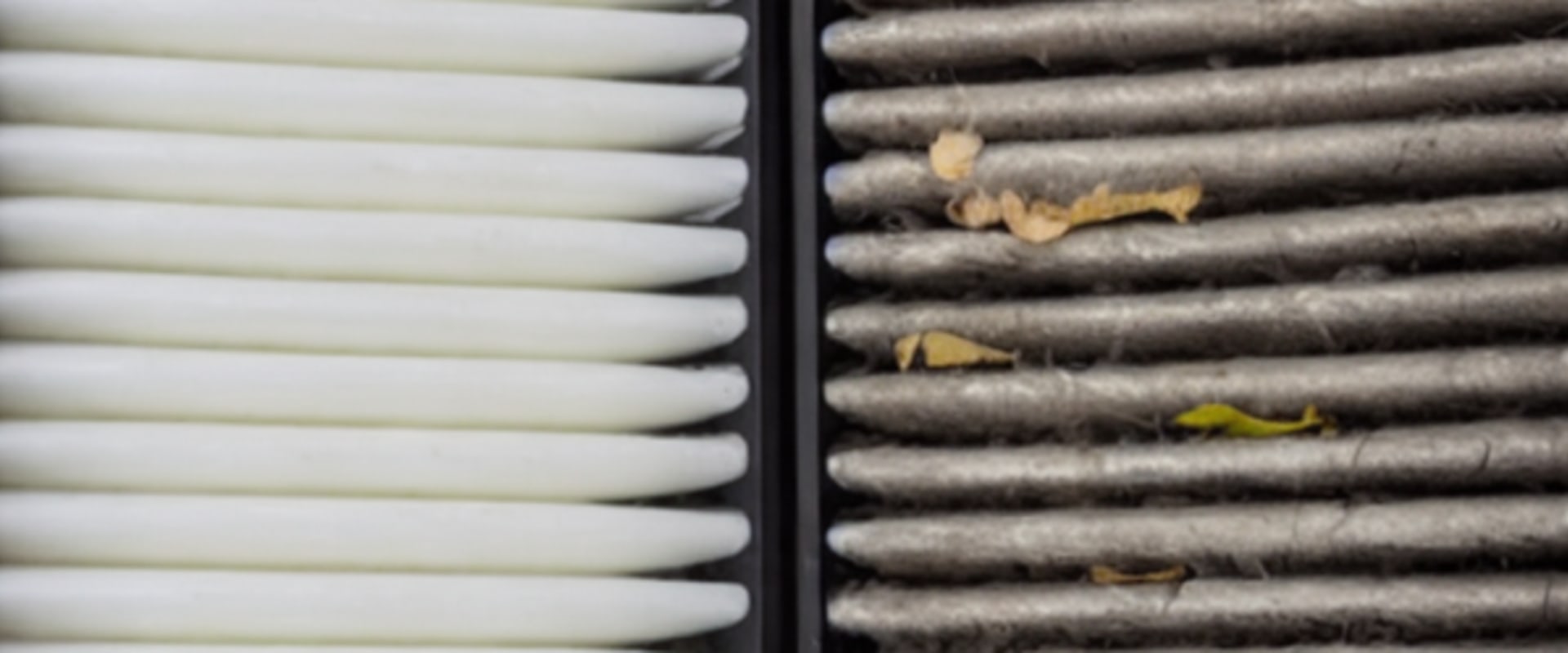 Keeping Your Family Safe From Dust Mites With a Reliable 20x25x2 Air Filter