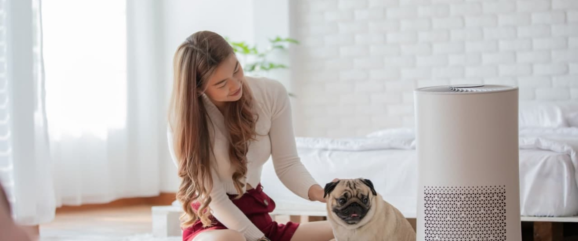 What Air Filters Should I Buy for My House to Combat Dust Mites Effectively